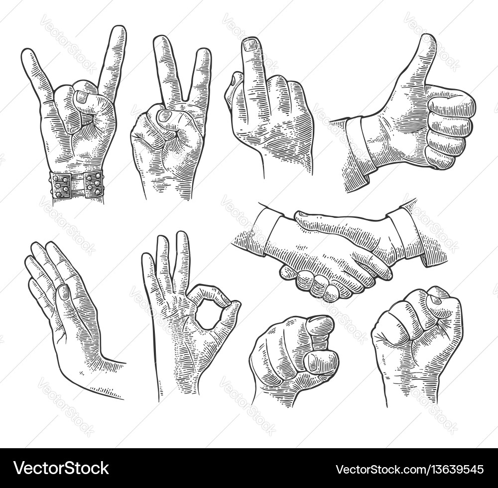Hand Signs - Diverse Gestures Royalty Free Vector Image