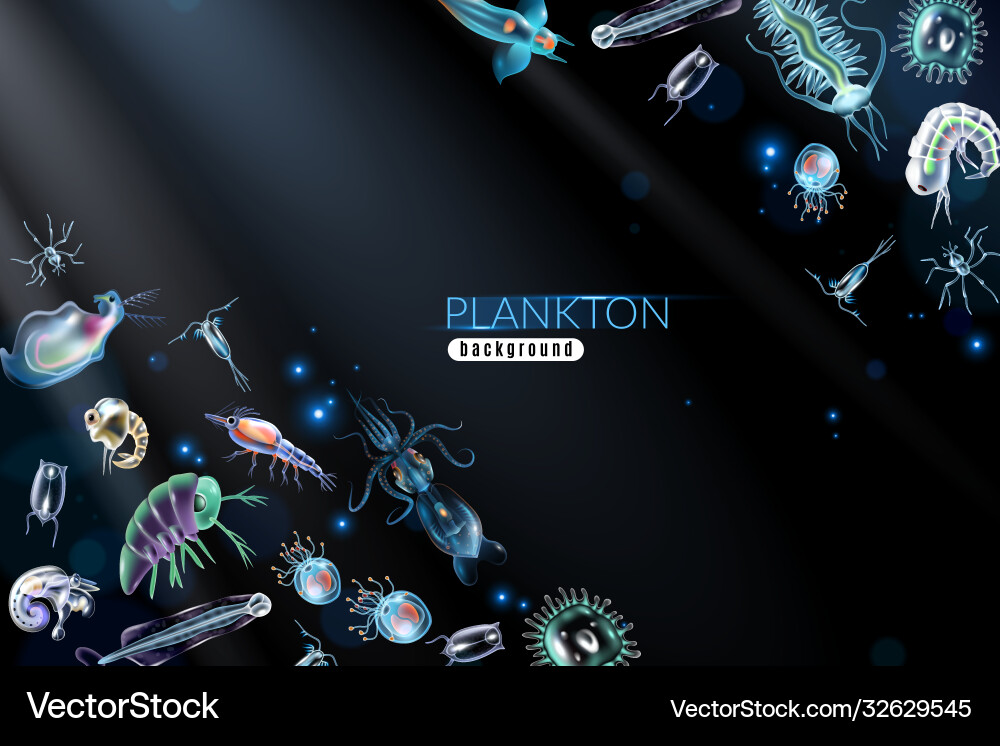 Plankton abstract background Royalty Free Vector Image