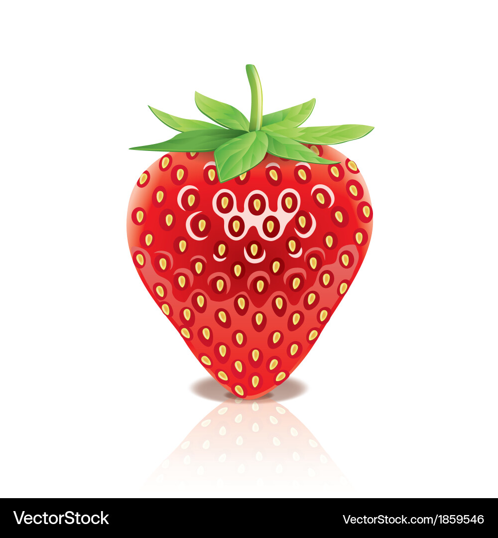 Object strawberry Royalty Free Vector Image - VectorStock