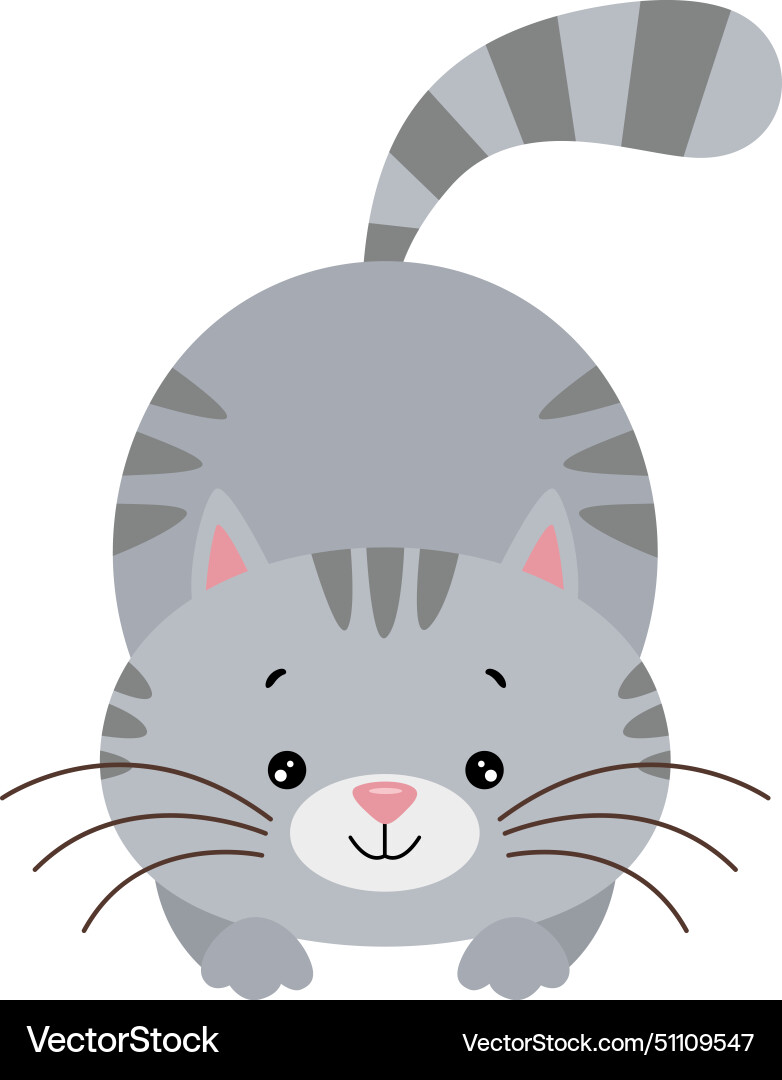 Cute and adorable gray cat isolated Royalty Free Vector