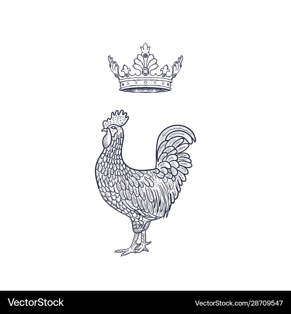 Hen or chicken with crown hand drawn contour Vector Image