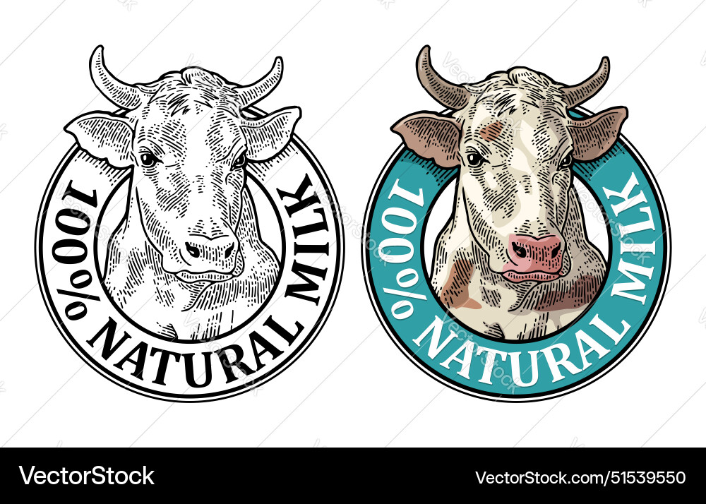 Cows head 100 natural milk vintage Royalty Free Vector Image