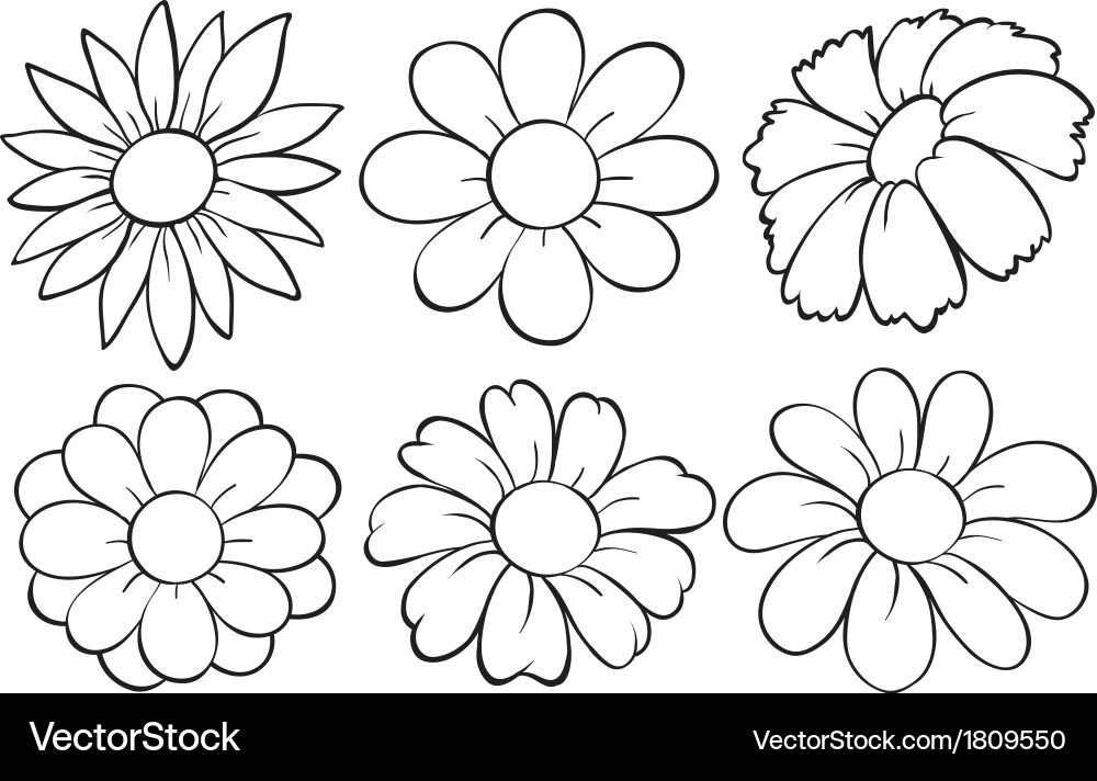 Flowers in doodle design Royalty Free Vector Image