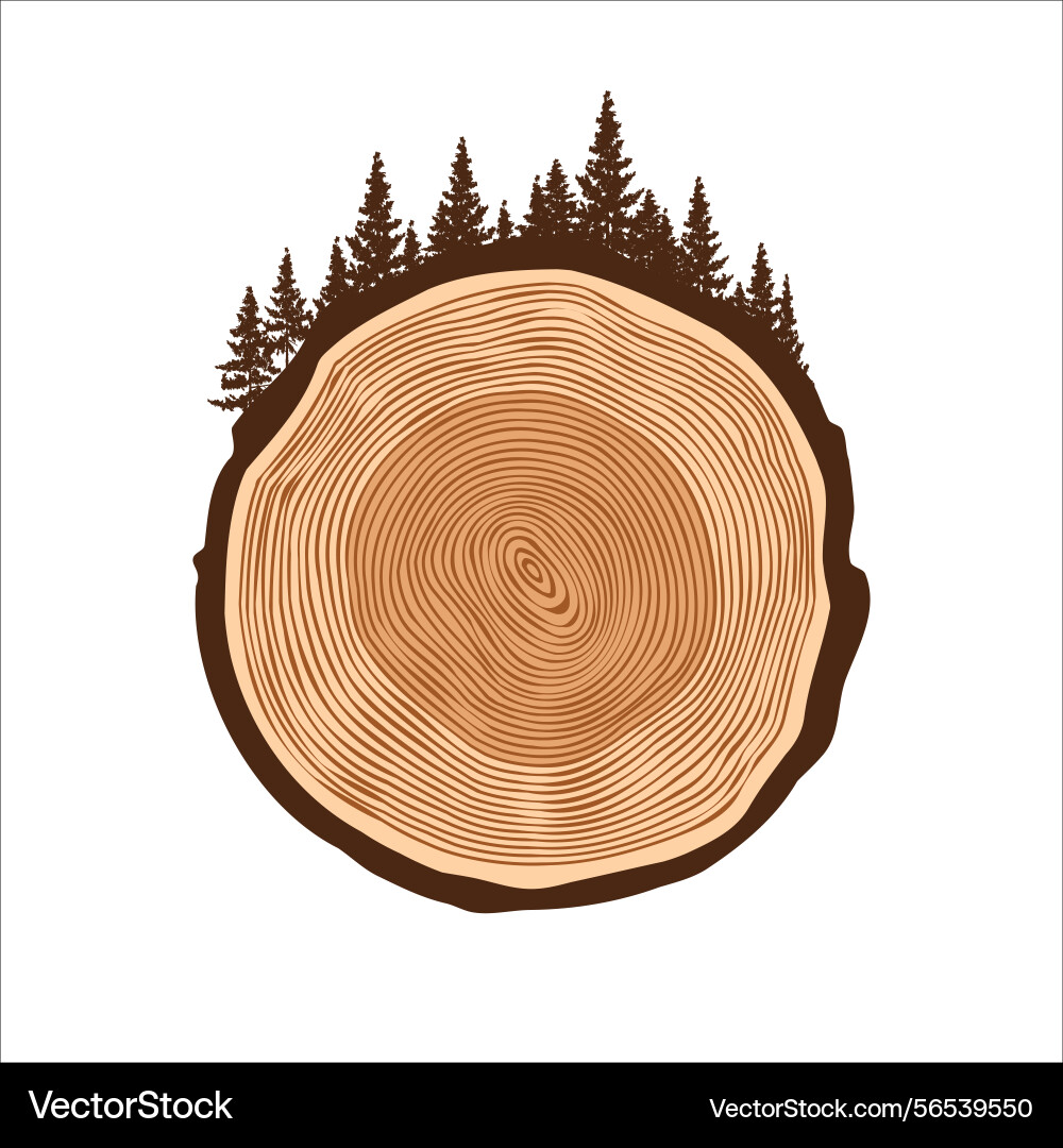 Round tree trunk cut with trees and forest sawn Vector Image
