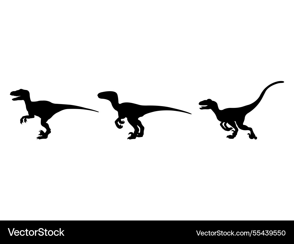 Silhouette of three different velociraptor poses Vector Image