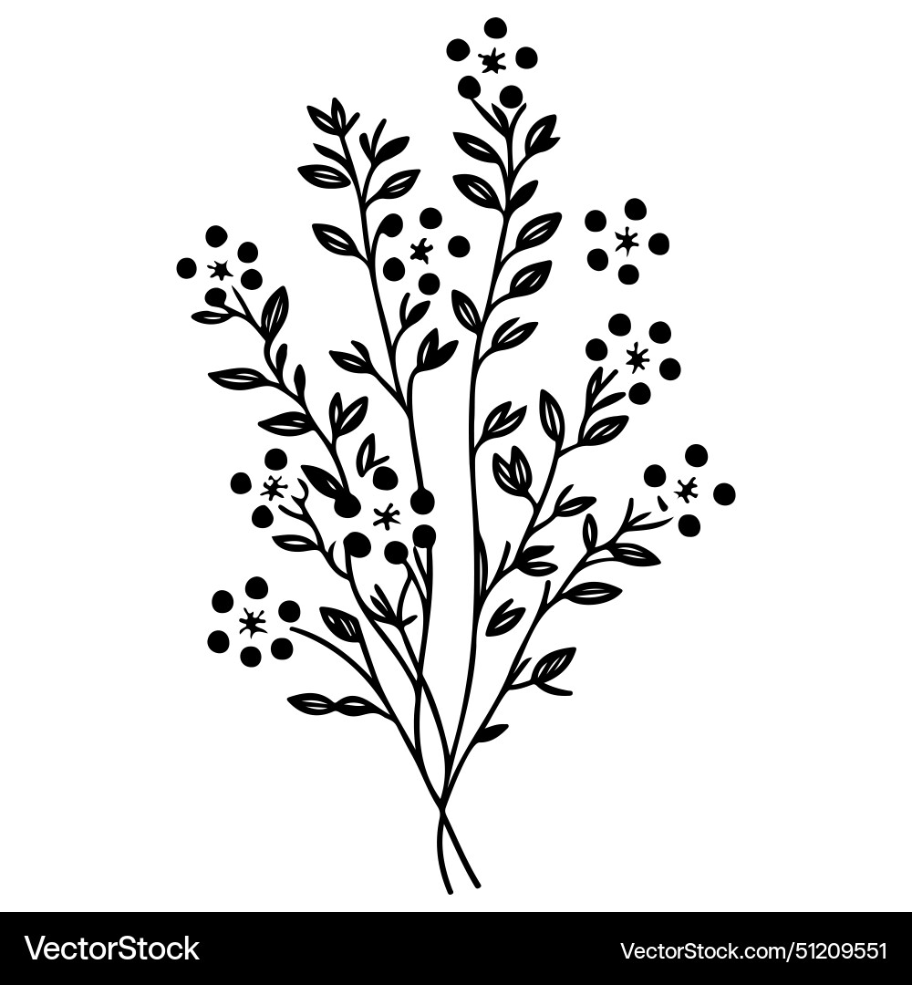 Berry flower sketch hand draw Royalty Free Vector Image