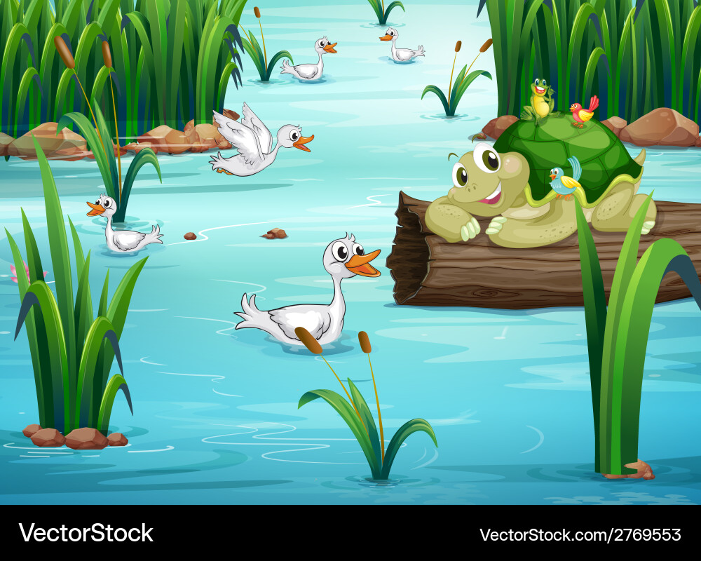 Animals and pond Royalty Free Vector Image - VectorStock