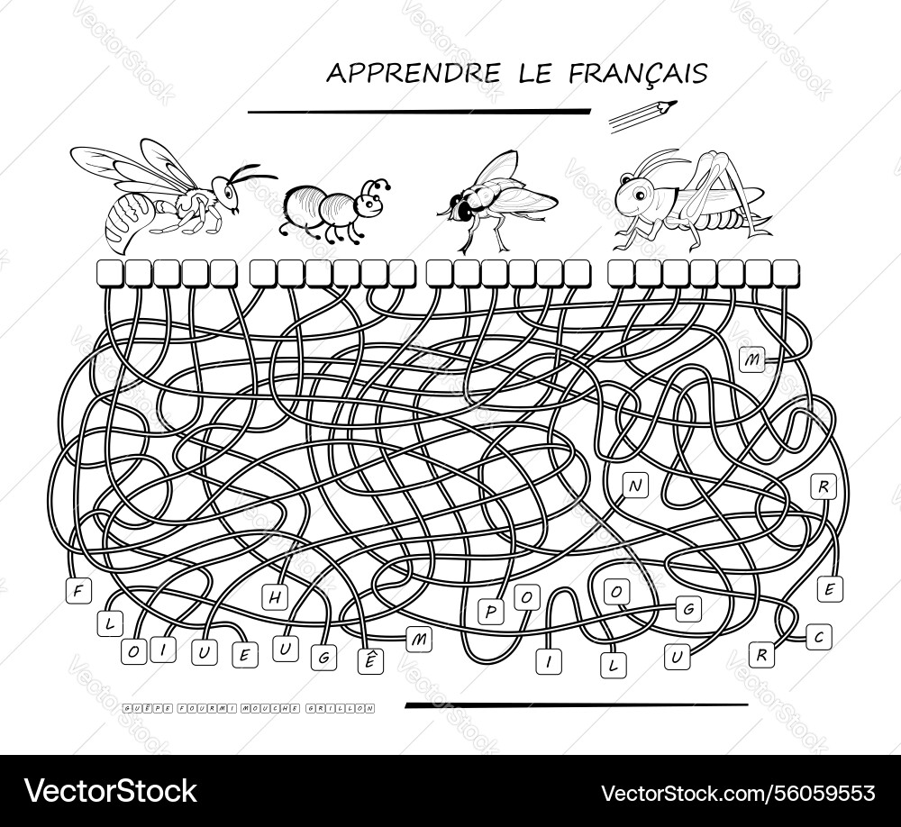 Learn french logic puzzle game with insects for Vector Image