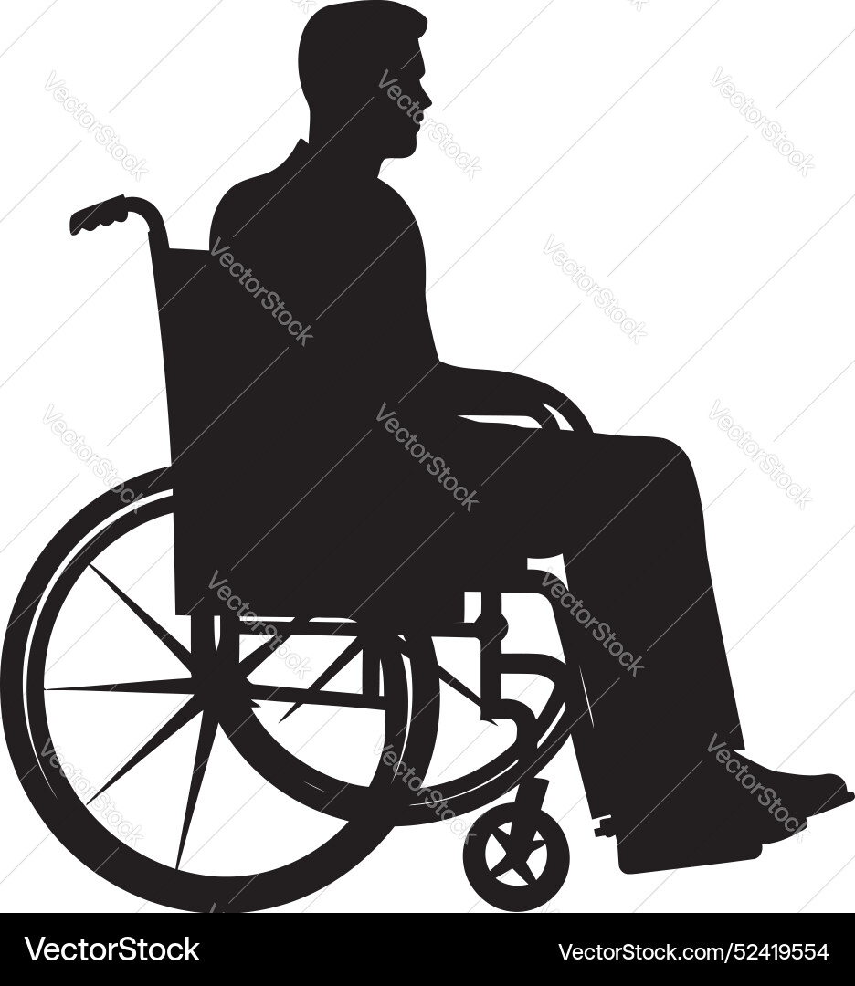 Empowerment drive wheelchair diverse mobility Vector Image