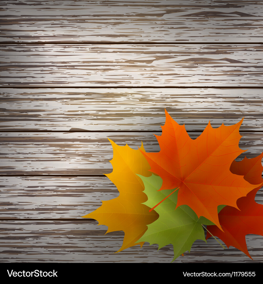 Maple Leaves Pattern Vector Images (over 14,000)
