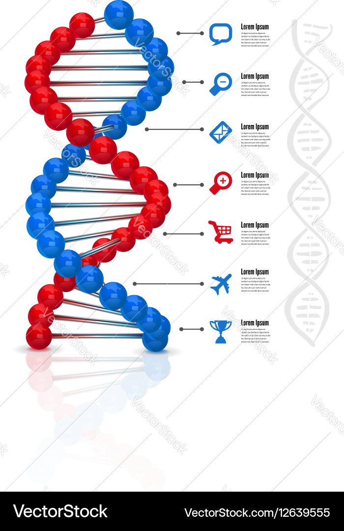 Dna infographics Royalty Free Vector Image - VectorStock