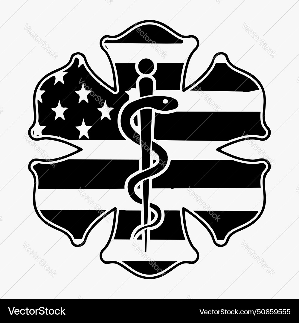 Ems american flag file Royalty Free Vector Image