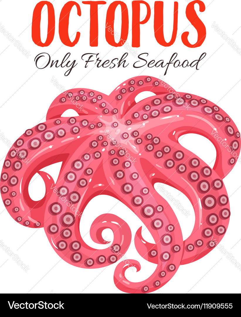 Octopus im Cartoon-Stil Lizenzfreies Vektorbild