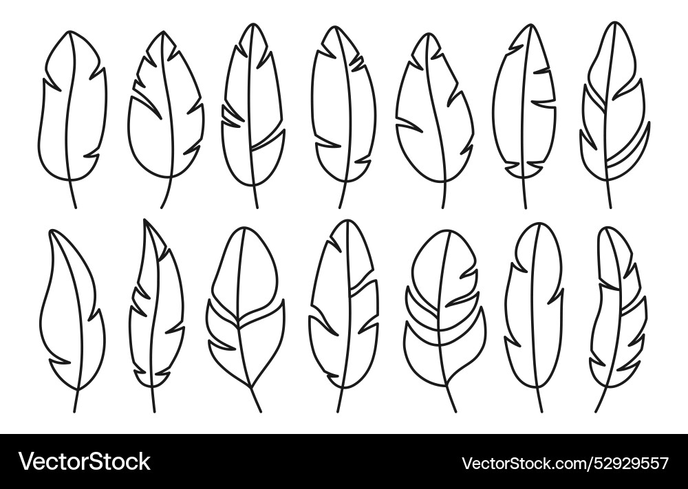 Bird feather cartoon sign set icon feathers Vector Image