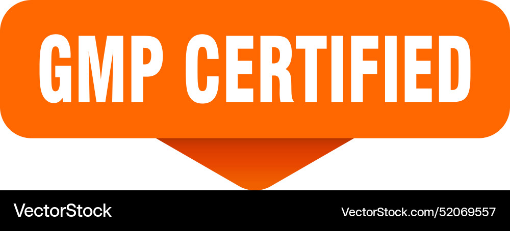 Gmp certified sticker sign Royalty Free Vector Image