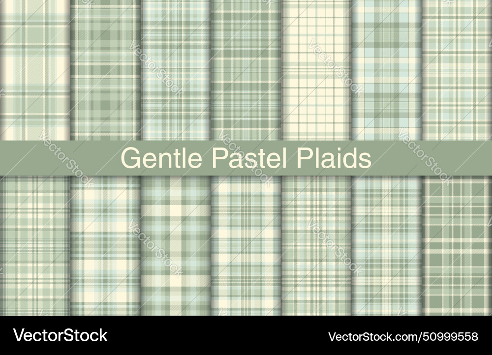 Gentle plaid bundles textile design checkered Vector Image