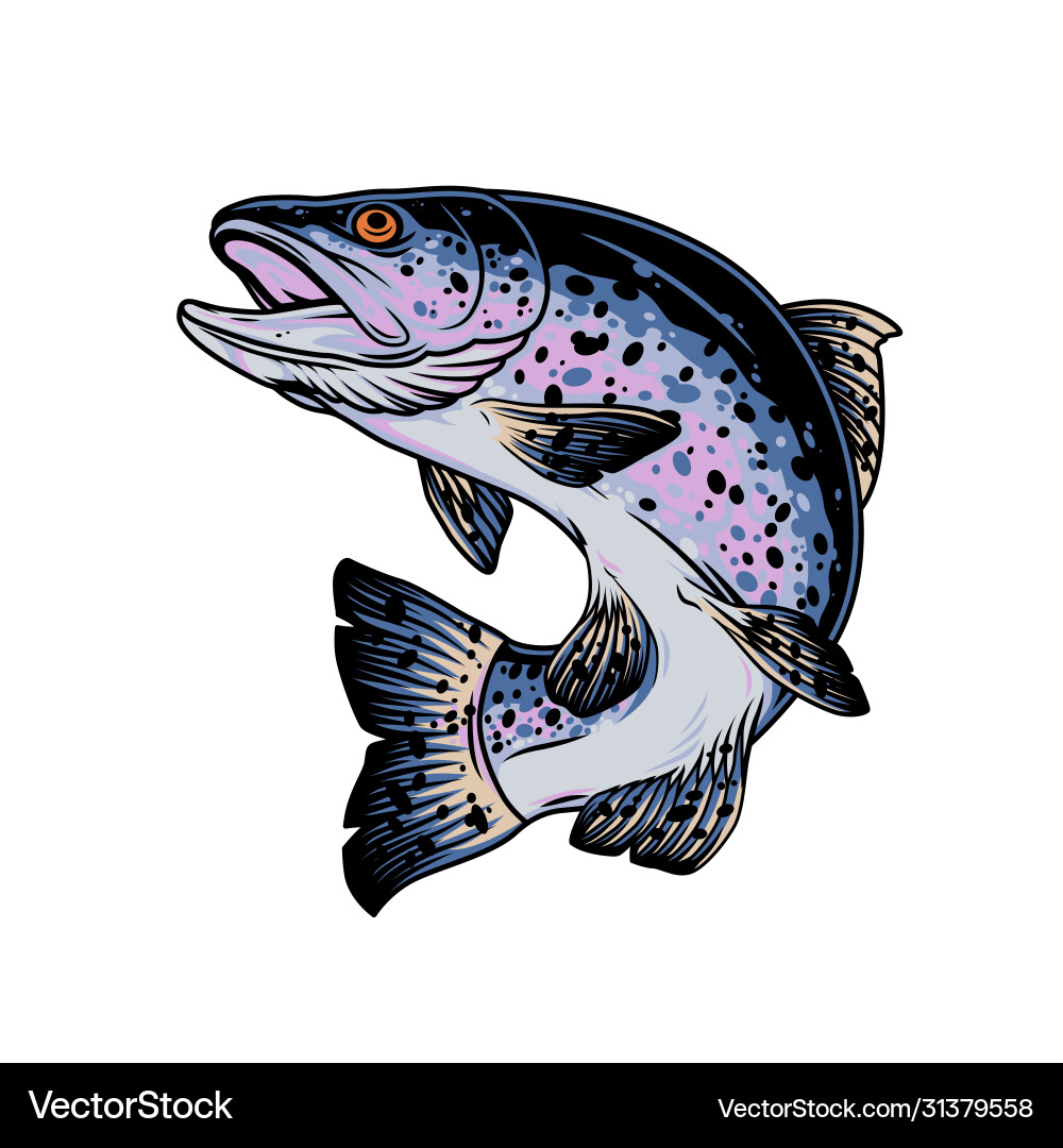 Rainbow trout vintage concept Royalty Free Vector Image