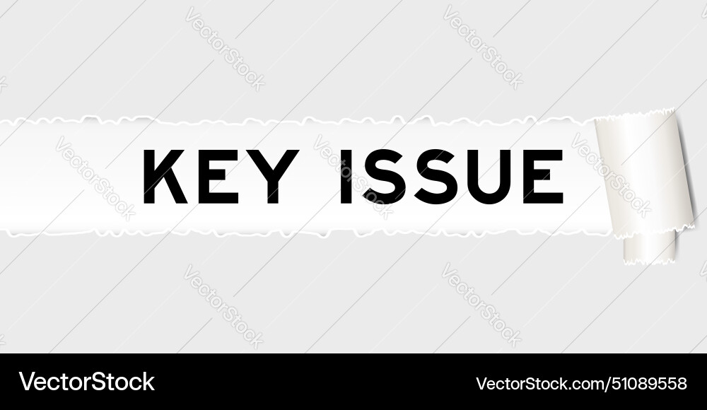 Ripped gray paper background that have word key Vector Image