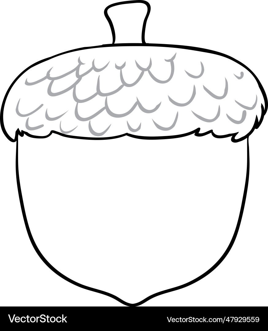 Acorn Clipart Black And White