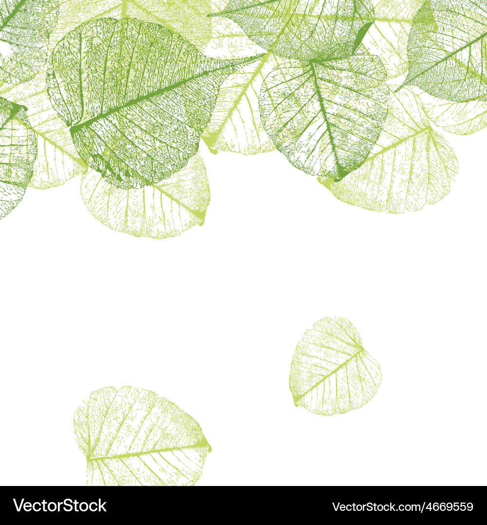 Leaves background Royalty Free Vector Image - VectorStock