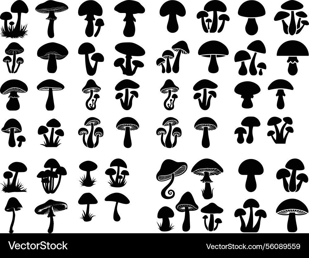 Mushrooms line art set mushroom vacto Royalty Free Vector