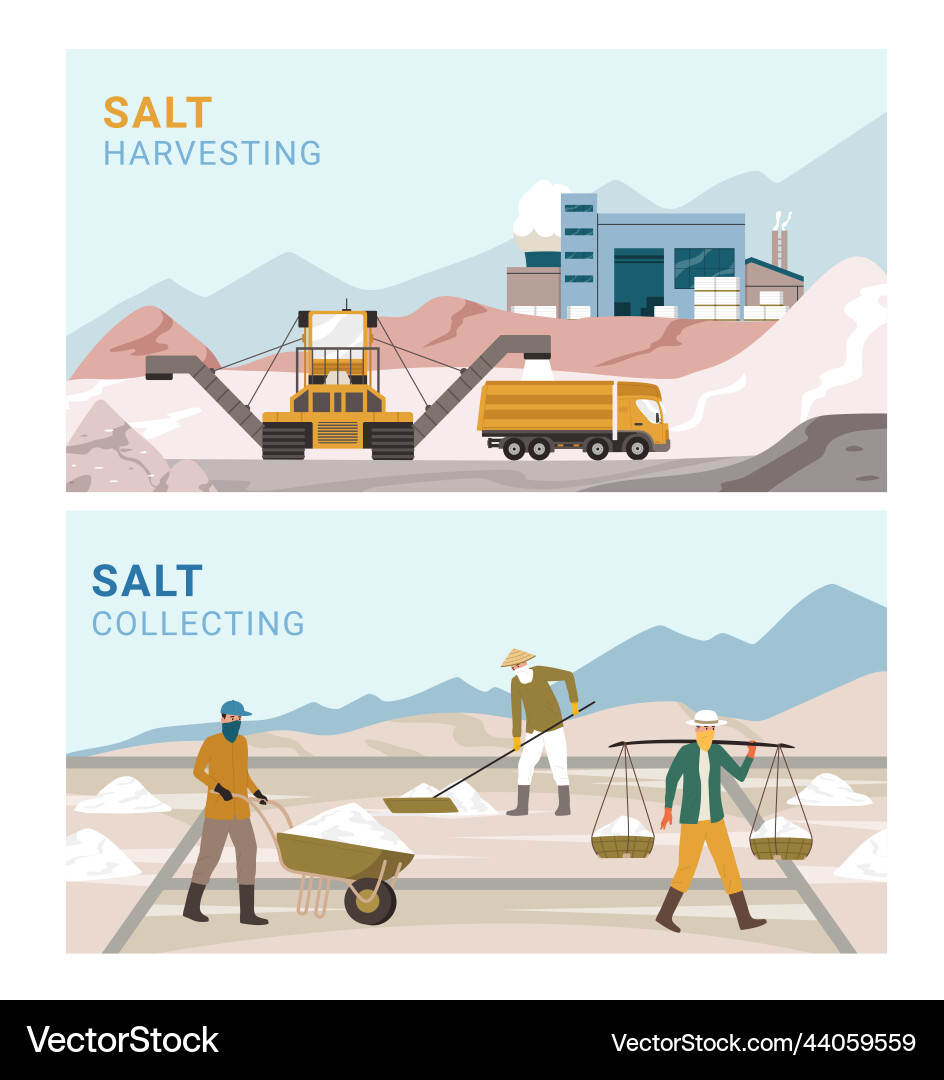 Salt production banners Royalty Free Vector Image