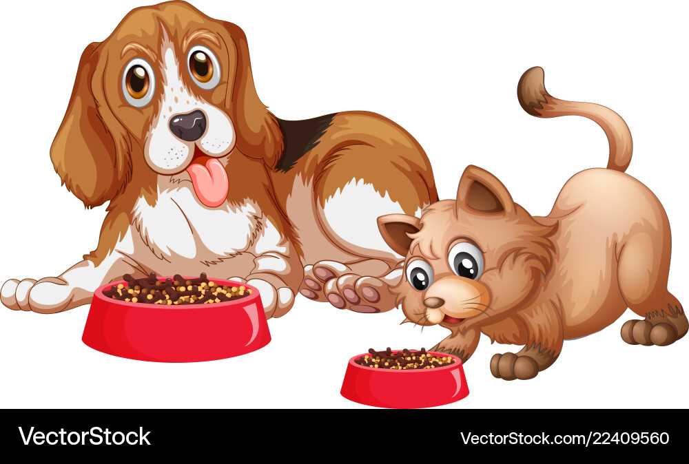Dog and cat eating Royalty Free Vector Image - VectorStock