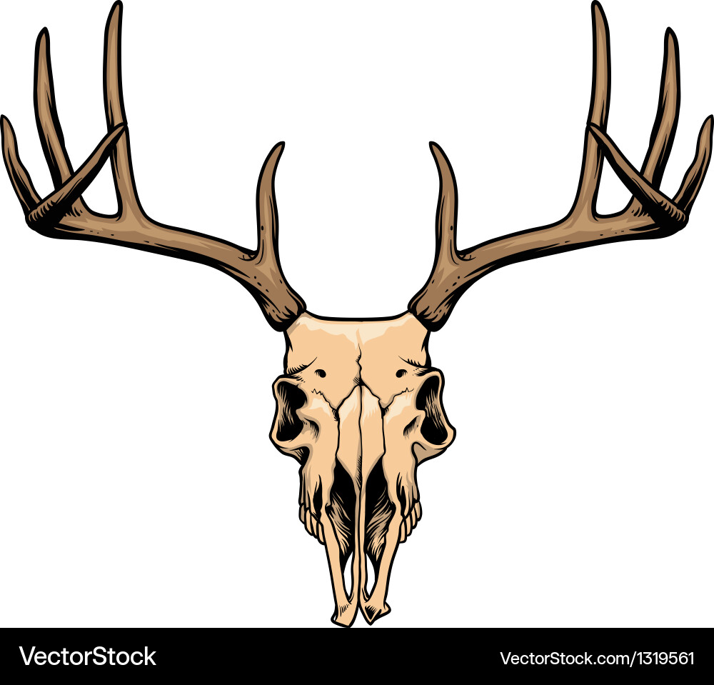 Moose Skull Vector Images (over 750)