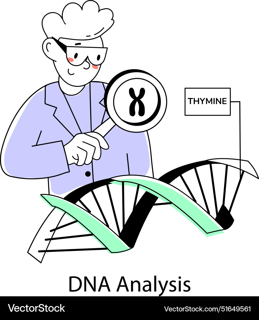 Dna analysis Royalty Free Vector Image - VectorStock