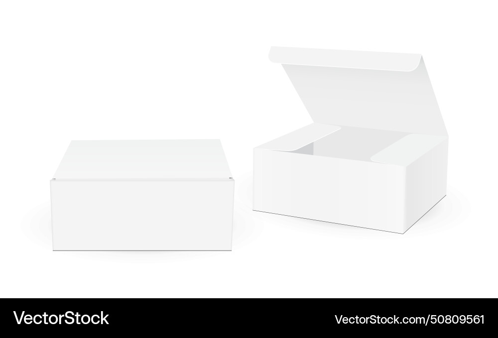 Two blank packaging boxes opened and closed Vector Image
