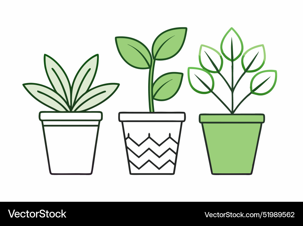 3 plant pots silhouette m Royalty Free Vector Image
