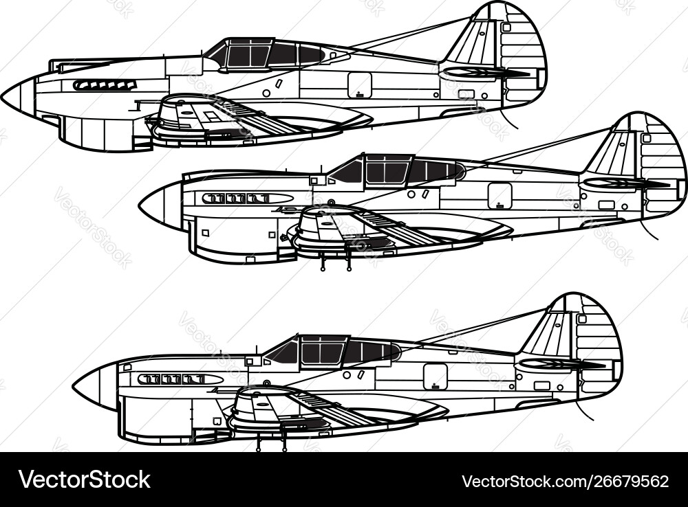 Curtiss p-40 warhawk Royalty Free Vector Image
