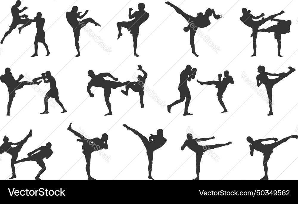 Kickboxing silhouette kickboxer Royalty Free Vector Image