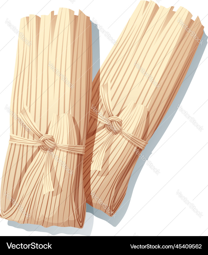 Tamales on an isolated background traditional Vector Image