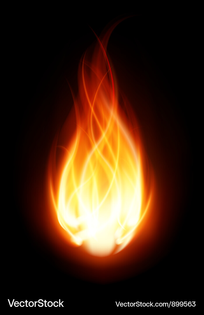 Burning flame fire background Royalty Free Vector Image