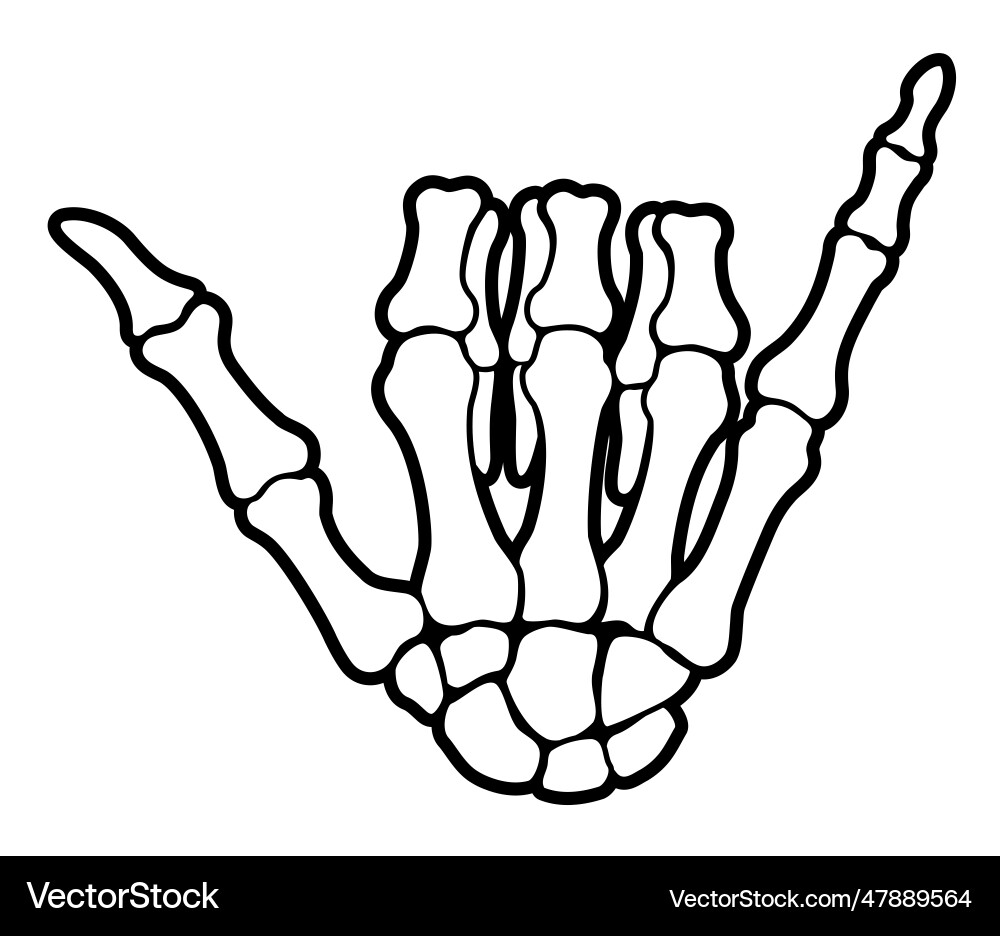 Bone person signs skeleton surf skull Royalty Free Vector