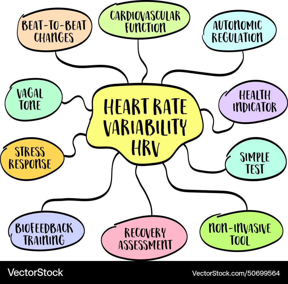Heart rate variability hrv - infographics mind Vector Image