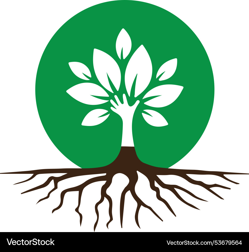 Mangrove tree icon logo design Royalty Free Vector Image