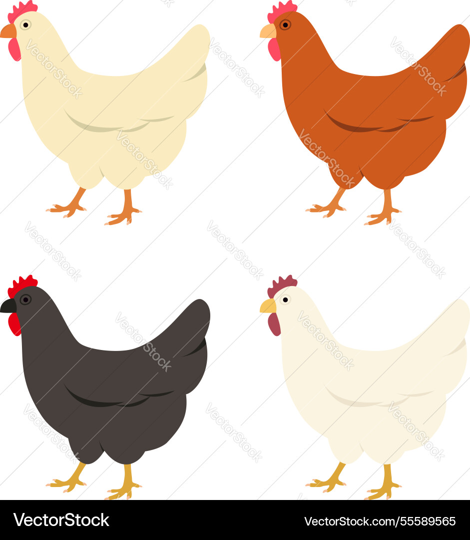 Hen or chicken of different colors Royalty Free Vector Image
