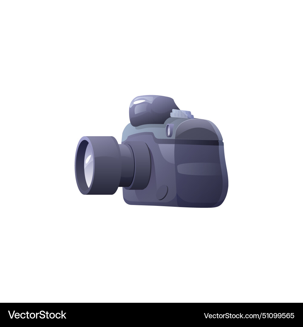Professional dslr camera Royalty Free Vector Image