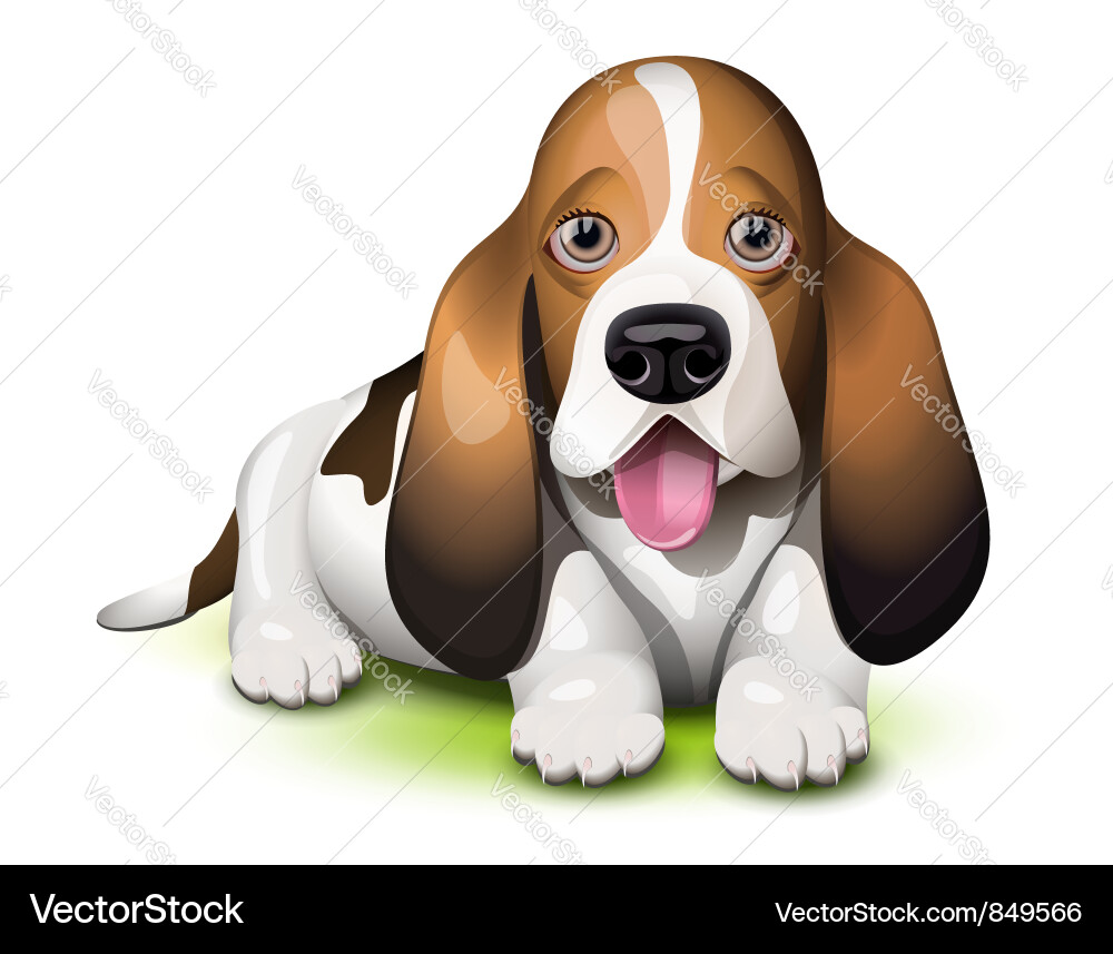 Hush Puppies Vector Images (34)