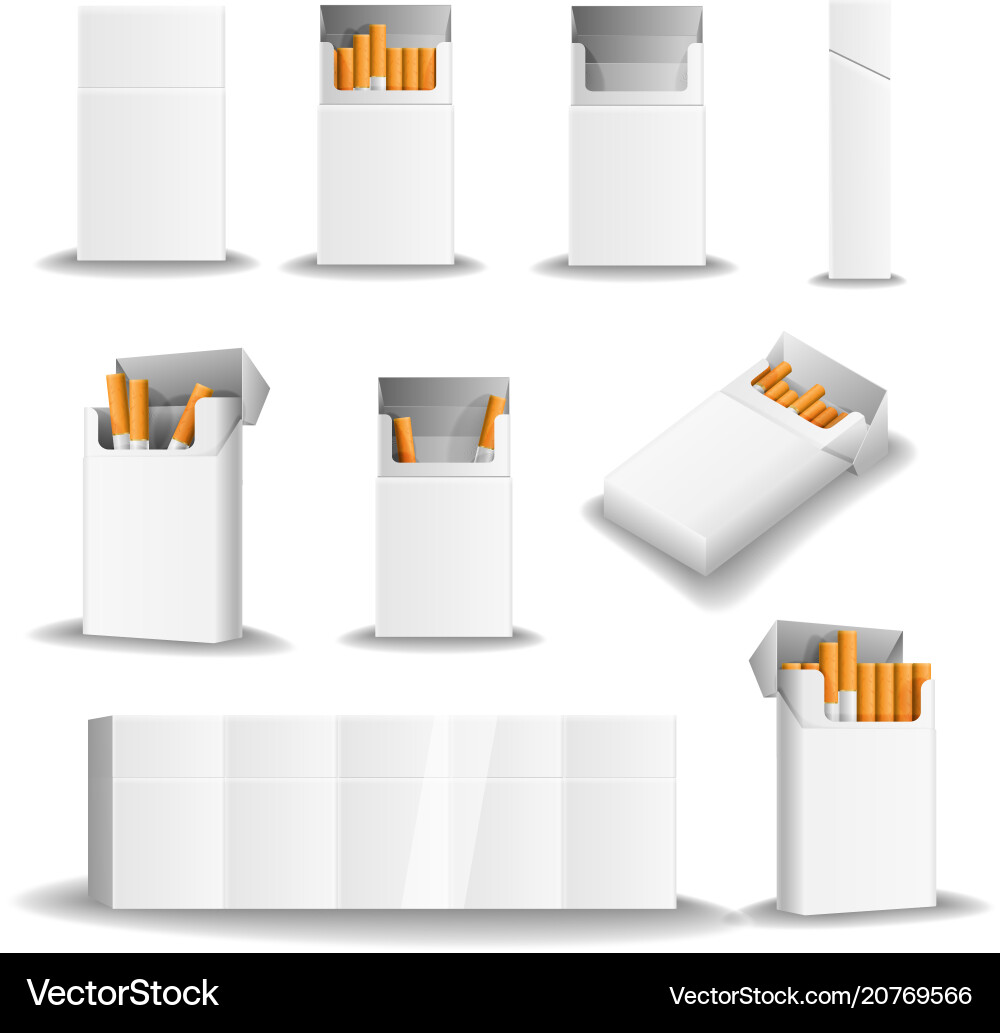 Cigarette blank packs realistic Royalty Free Vector Image