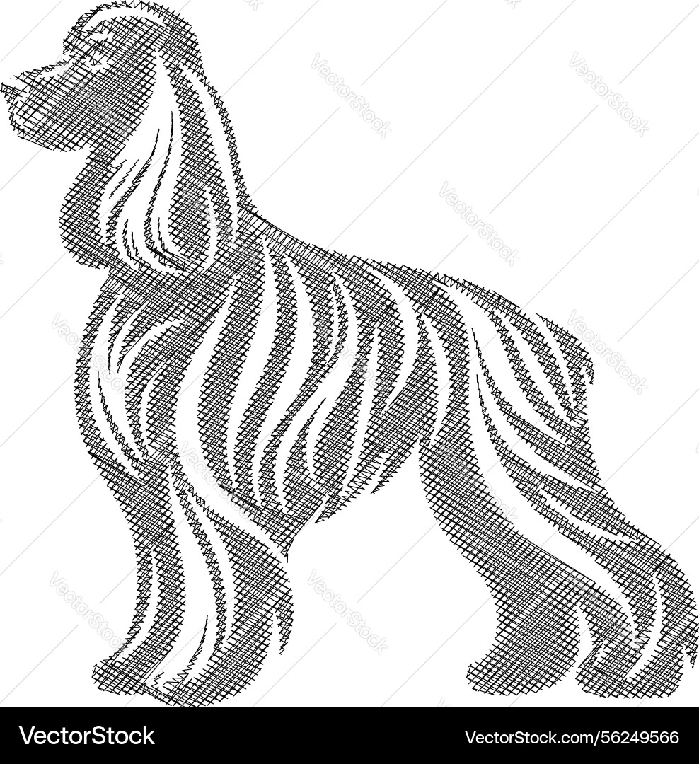 Full body american cocker spaniel scribble style Vector Image