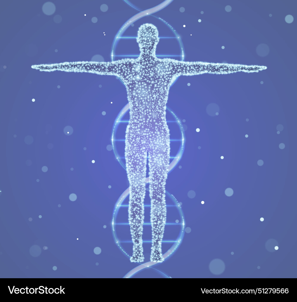 Human dna medical technology gene evolution Vector Image