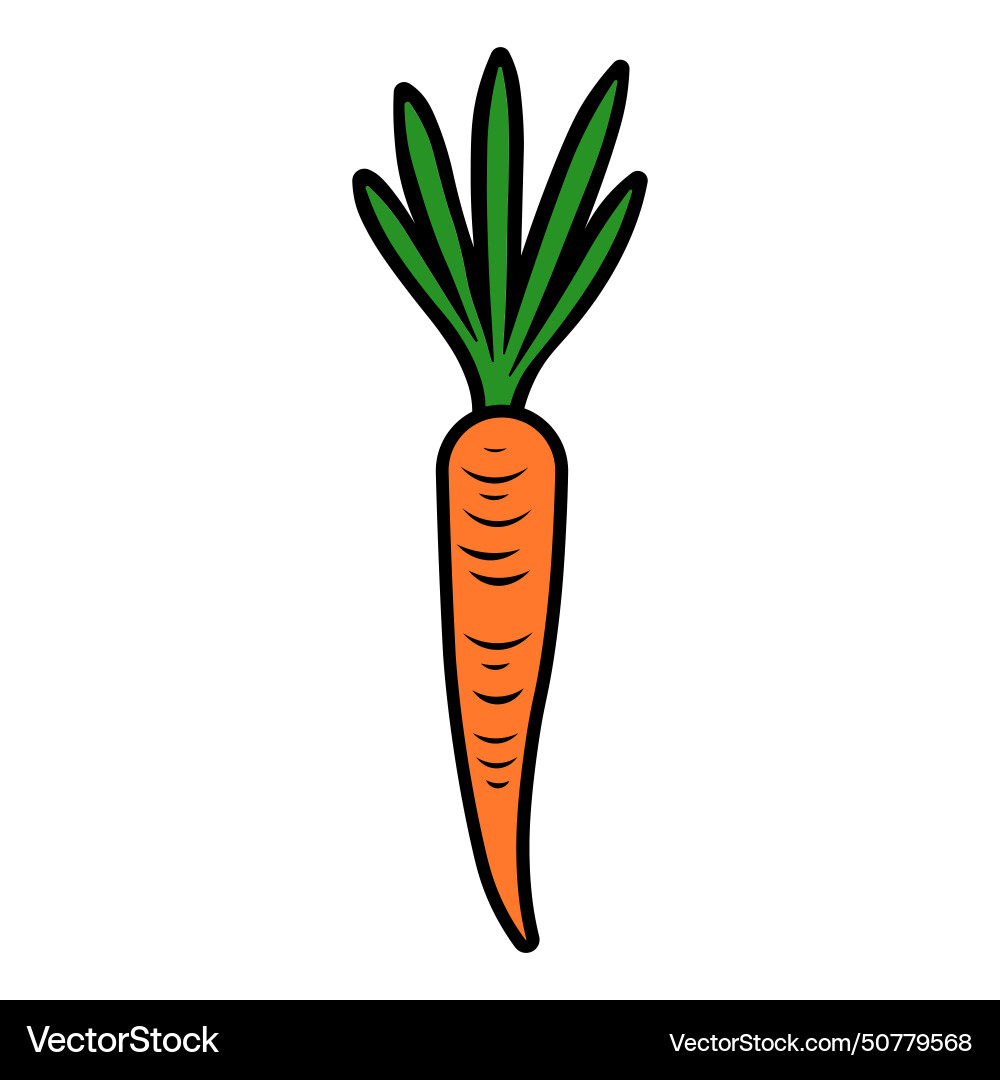 Carrot icon on white background Royalty Free Vector Image