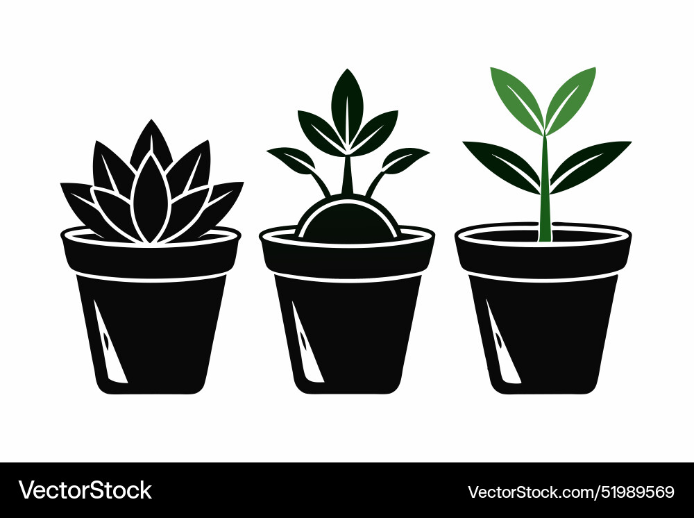 3 plant pots silhouette p Royalty Free Vector Image