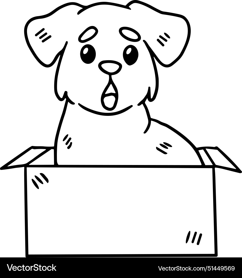 A dog is sitting in box Royalty Free Vector Image