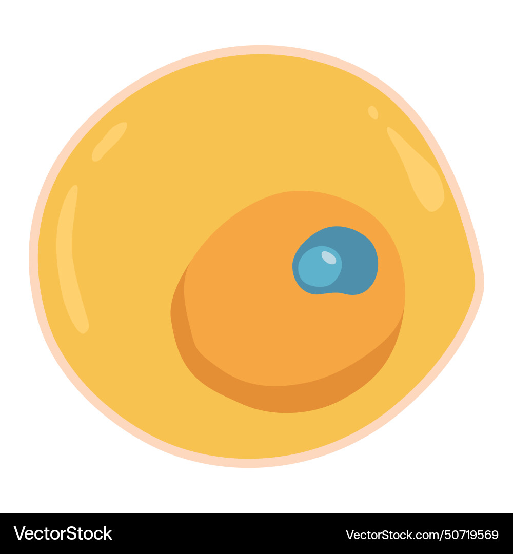 Human cell type icon medicine and biology Vector Image