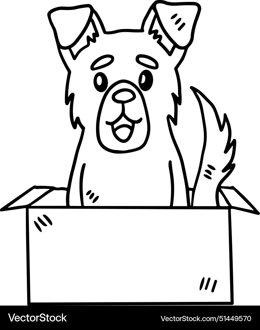 A dog is sitting in box Royalty Free Vector Image