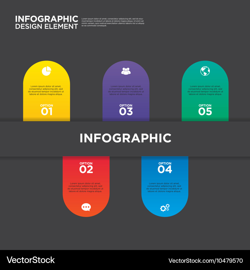 Infographic business report template layout Vector Image
